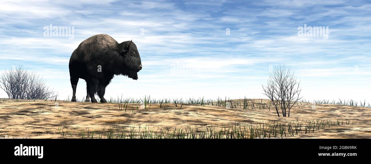 Bison standing in the desert - 3D render Stock Photo - Alamy