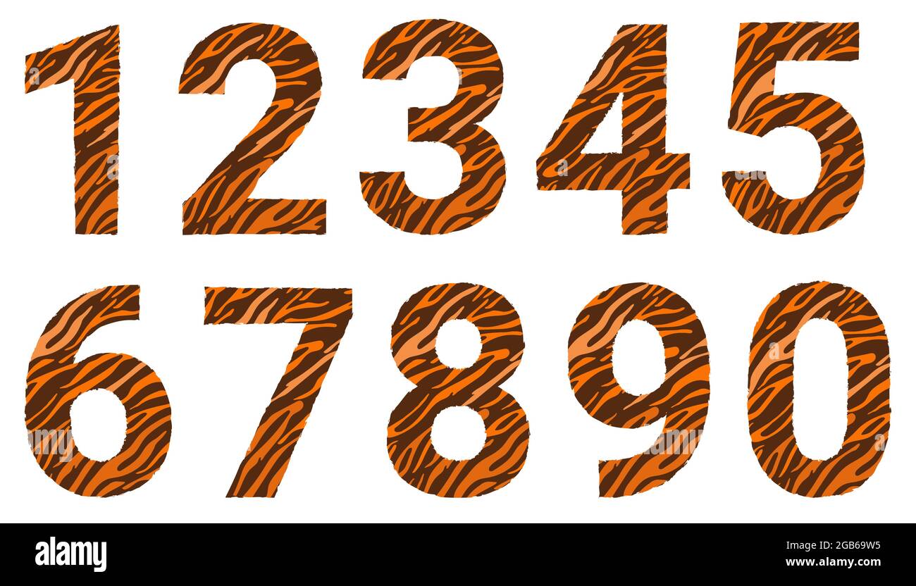 A set of numbers with a tiger pattern. Decorative striped numbers from ...