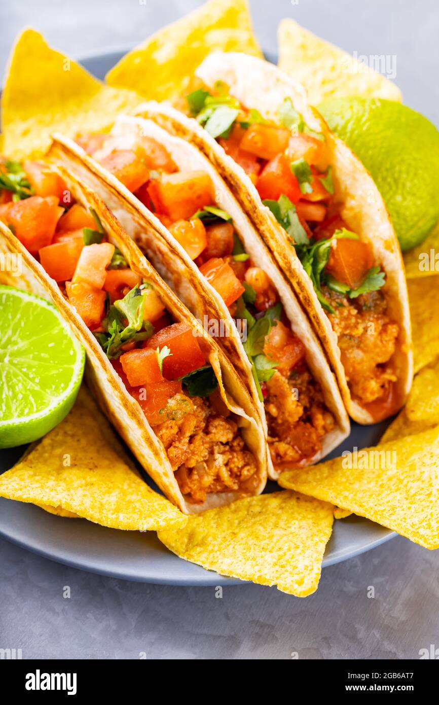 Mexican tacos and nacho chips on a plate. Tacos and tortilla chips on a ...