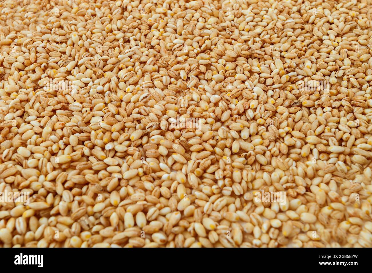 grain texture of raw pearl barley Stock Photo - Alamy