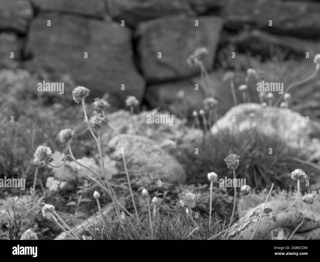 molde in norway Stock Photo - Alamy