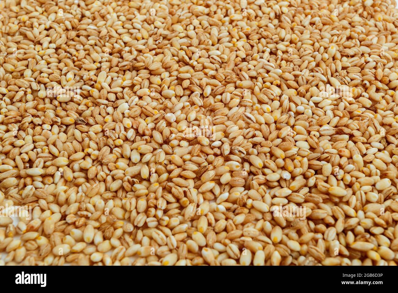 Pile dry raw pearl hi-res stock photography and images - Alamy