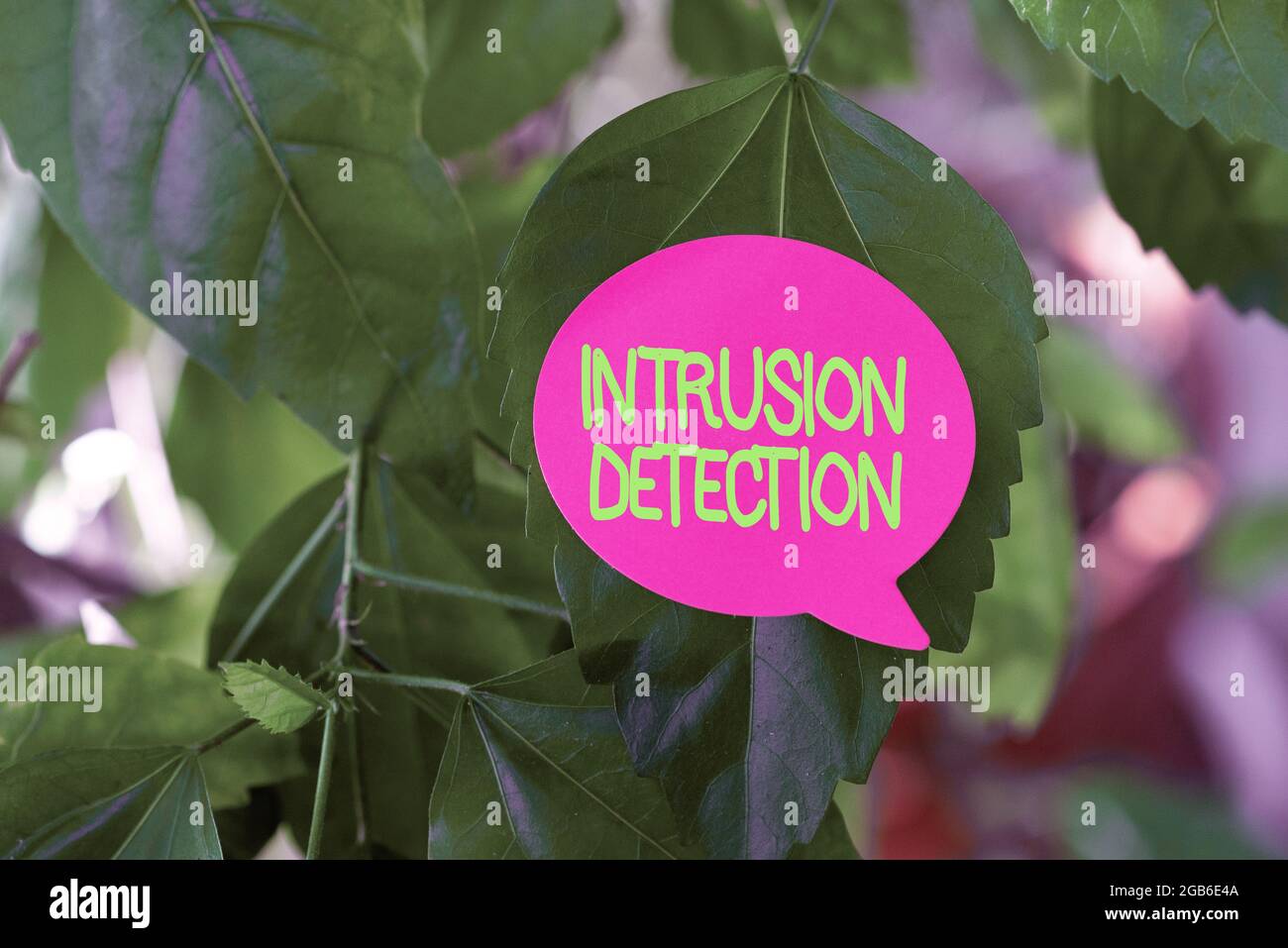 Intrusion detection systems hi-res stock photography and images - Alamy