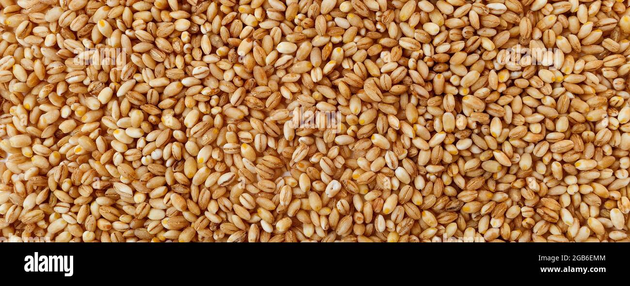grain texture of raw pearl barley Stock Photo - Alamy