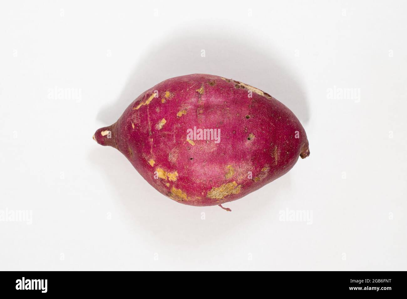 Sweet potato with damage on the skin and some holes, natural food ...