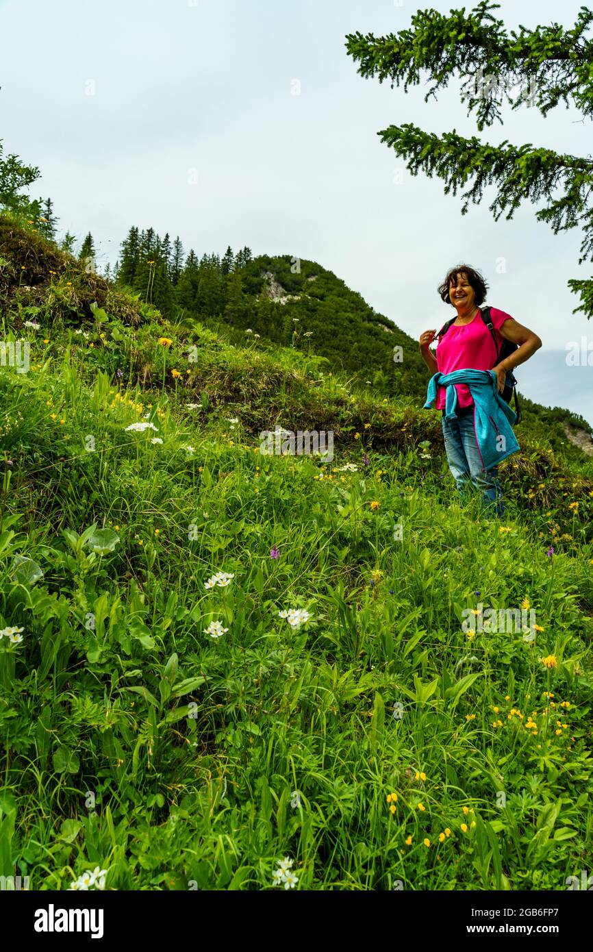 hiker on the way in the great valley of Walser. alpine landscape with ...
