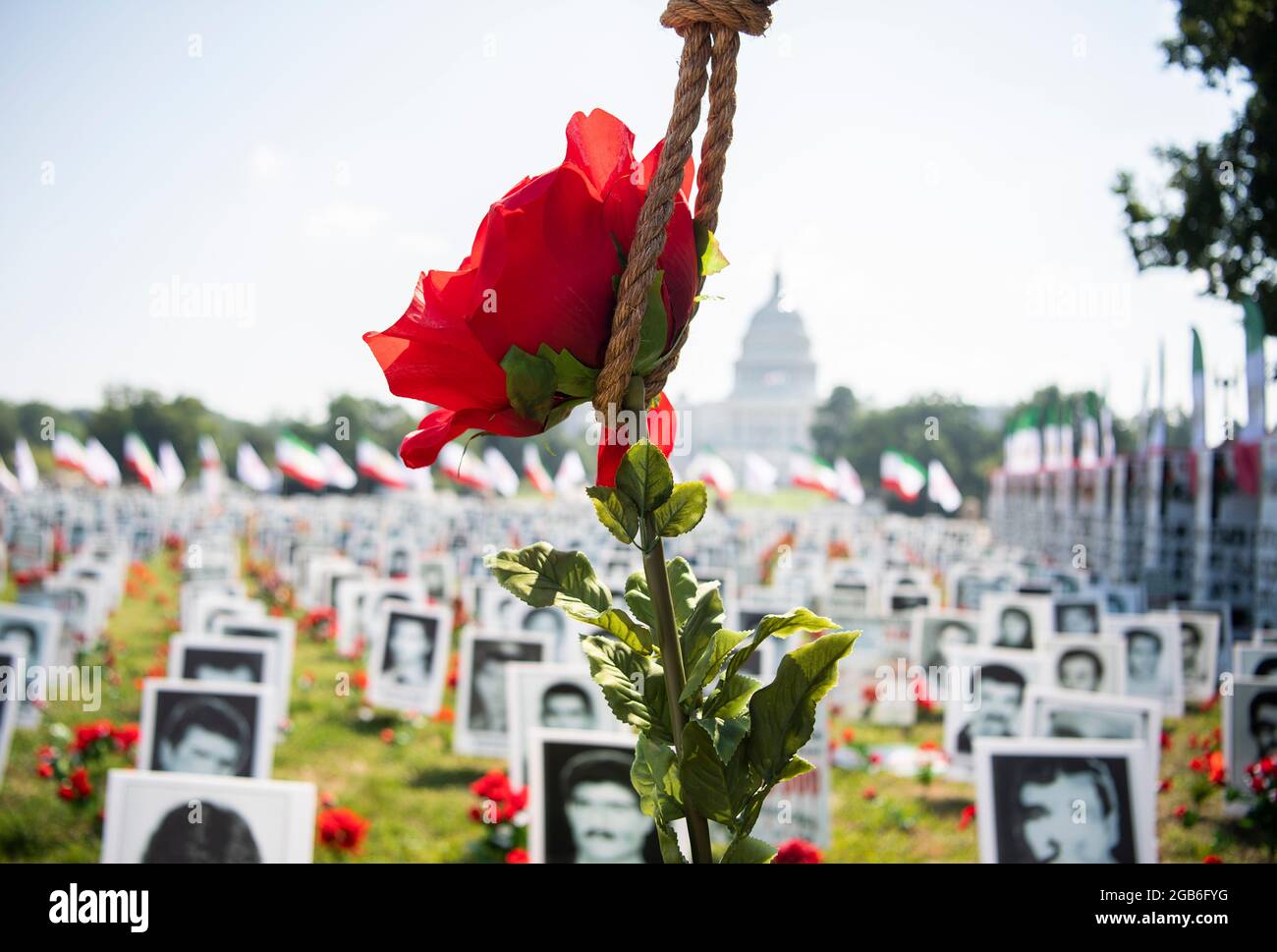 UNITED STATES - AUGUST 2: A flower in a noose is pictured at a photo ...
