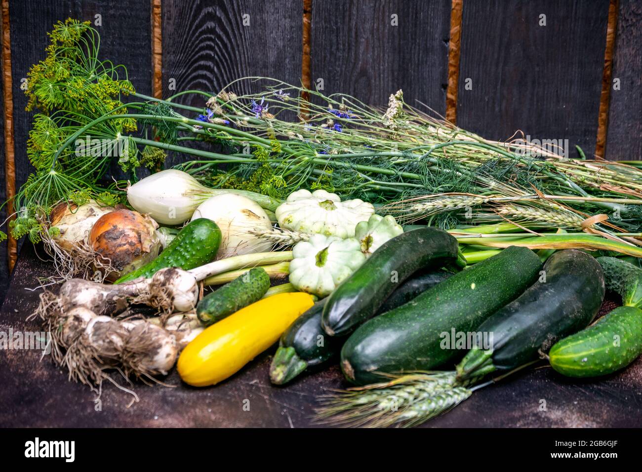 The first harvest of vegetables from the garden Stock Photo - Alamy