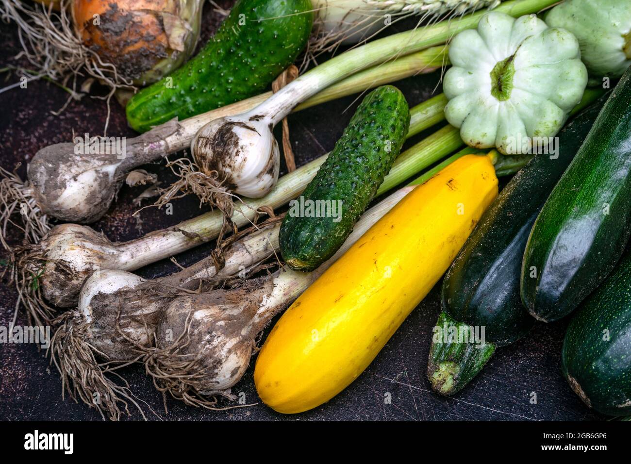 The first harvest of vegetables from the garden Stock Photo - Alamy