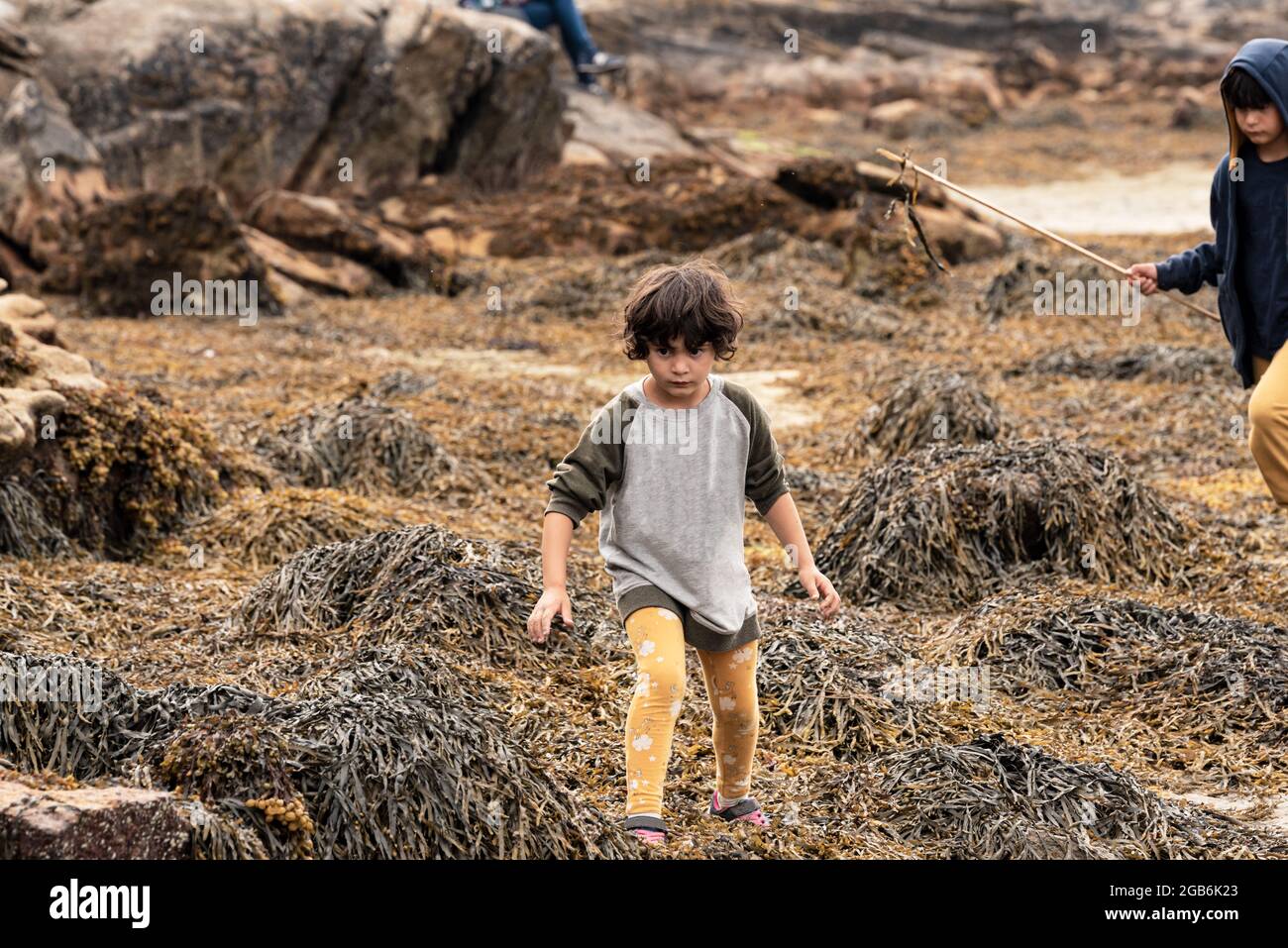 Unclean beach hi-res stock photography and images - Alamy