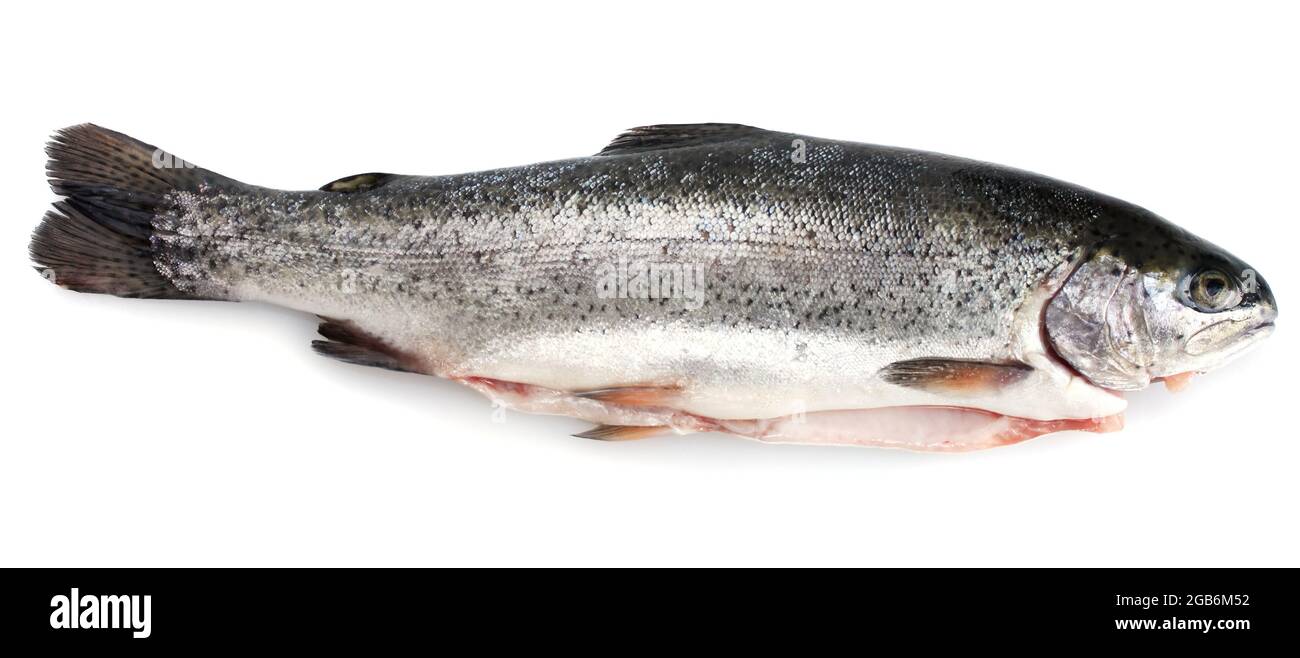 Fresh fish isolated on white Stock Photo - Alamy