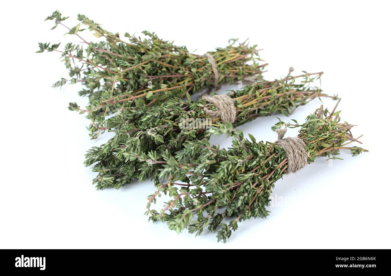 fresh green thyme isolated on white Stock Photo - Alamy