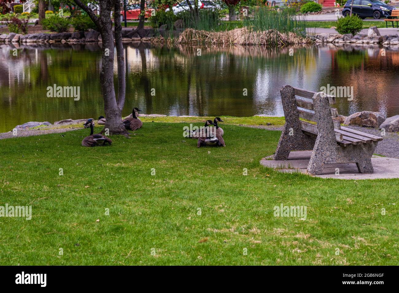 Mirror pond garden hi-res stock photography and images - Alamy
