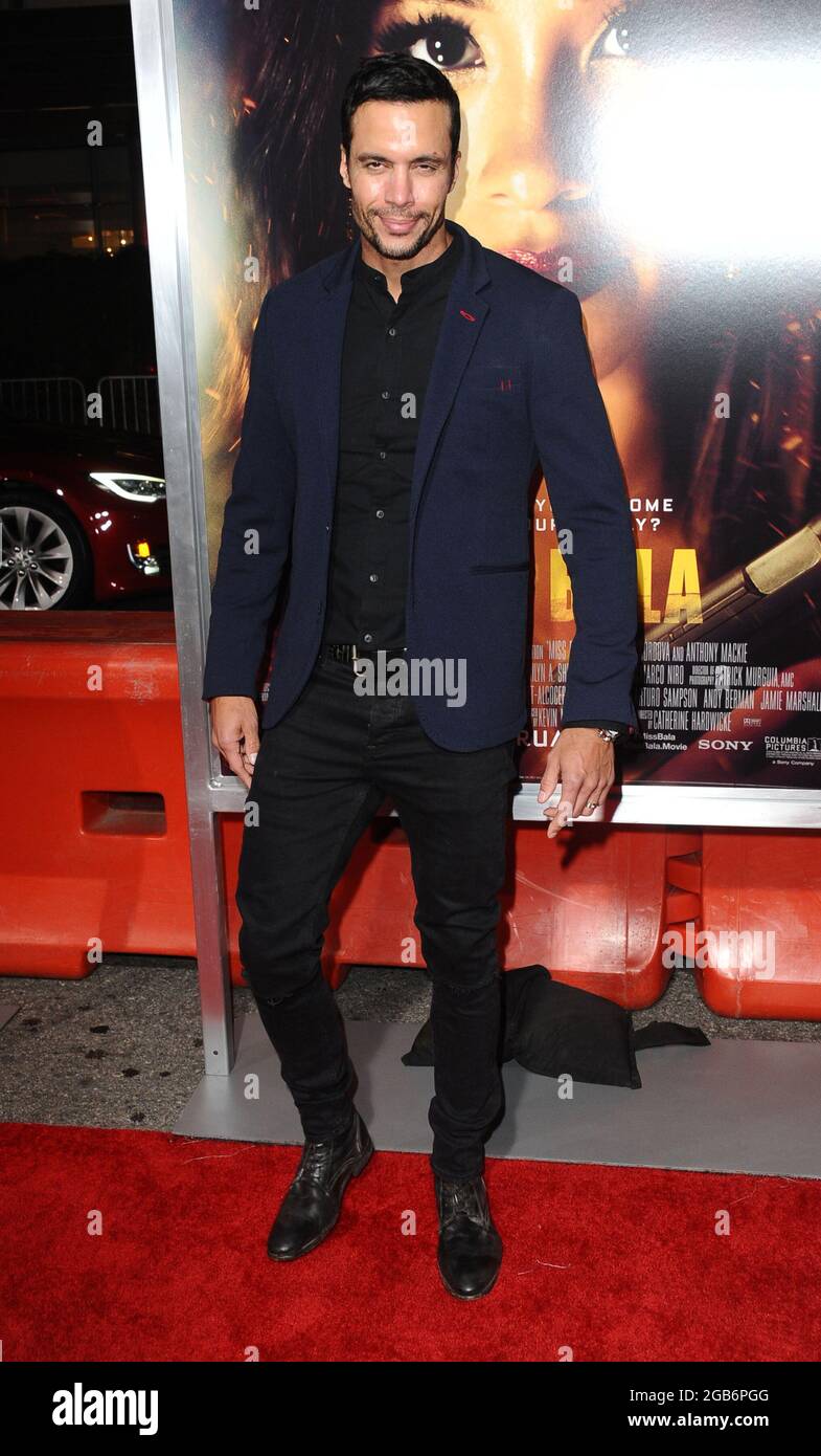 Los Angeles - CA - 01/30/2019 Miss Bala Los Angeles Premiere -PICTURED ...