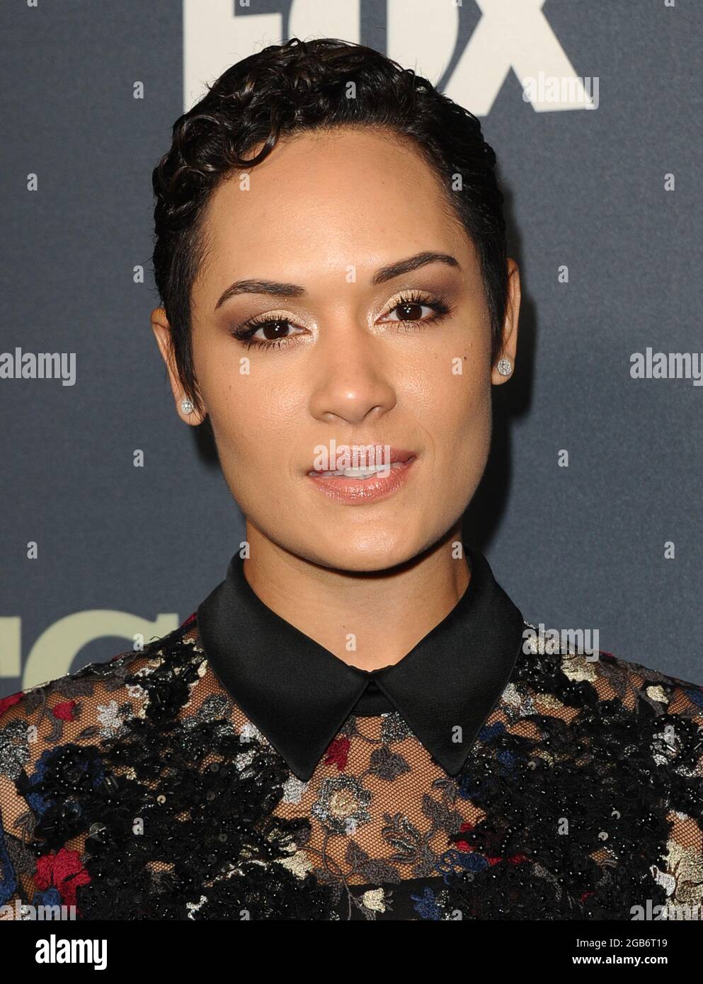 Los Angeles - CA -20190206 - FOX WINTER TCA 2019 ALL-STAR PARTY ...