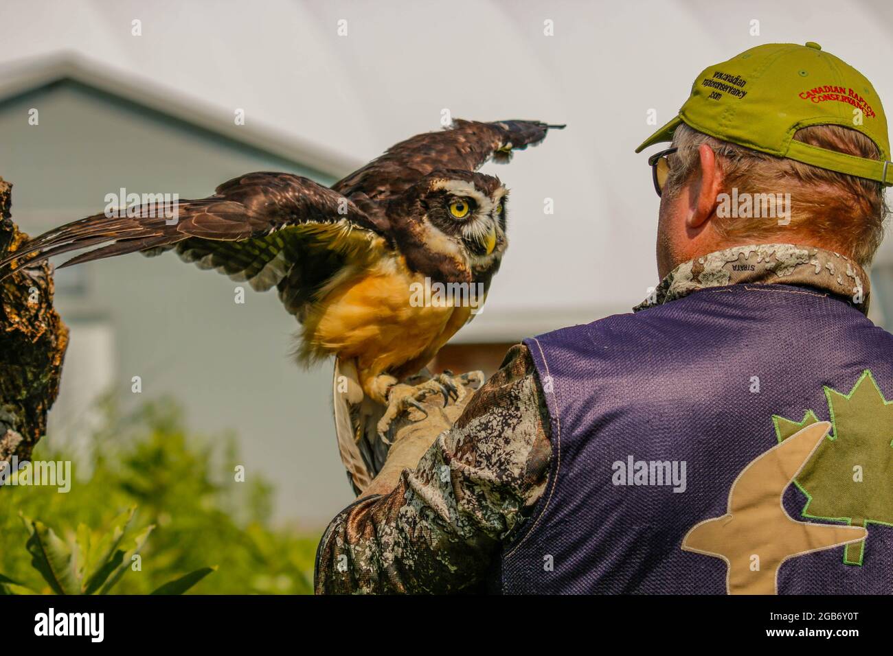 Simcoe, Canada, July 31 2021: Editorial photo of a bird handler ...