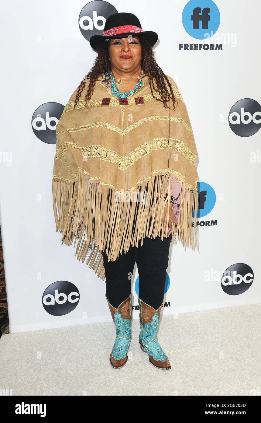 Pasadena - CA - 02/05/2019 Disney ABC Television CA Winter Press Tour ...