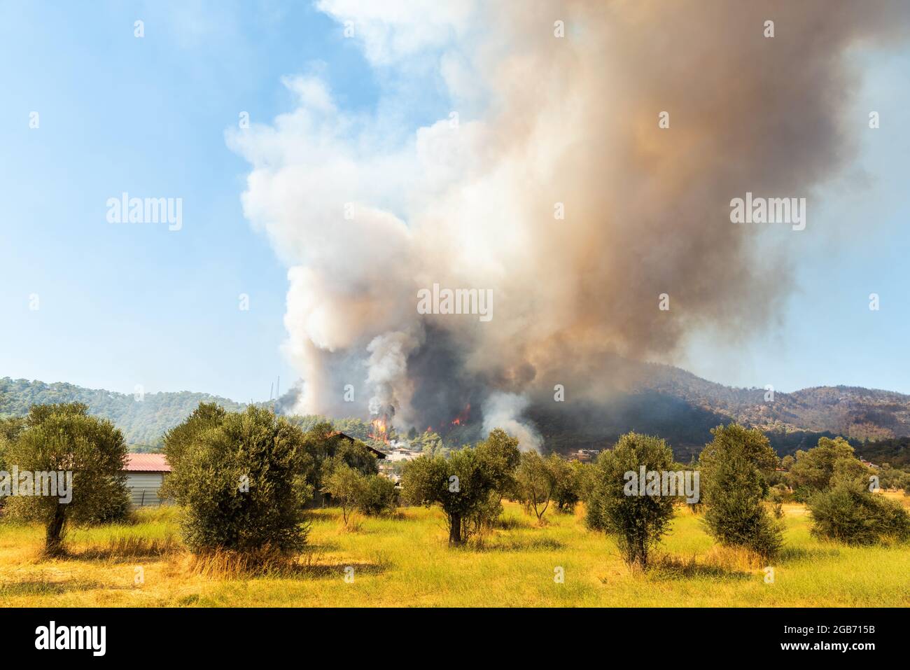 Smoke from a forest fire rising over Hisaronu bay and neighbourhood of ...