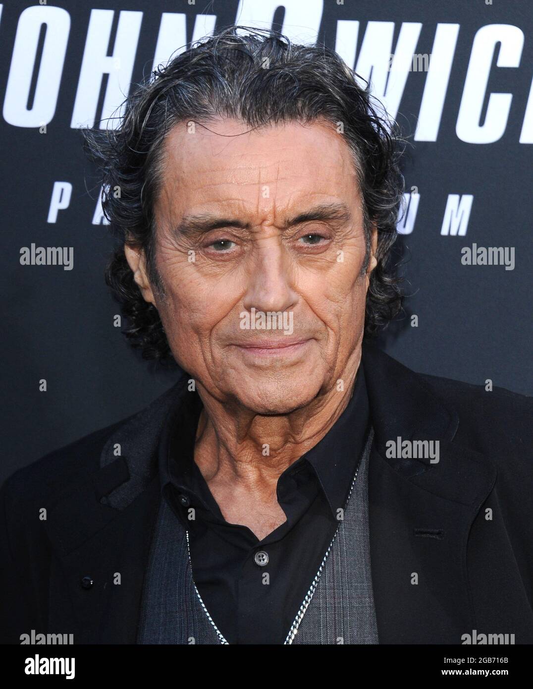 Hollywood - CA - 05/15/2019 John Wick Chapter 3 Parabellum Los Angeles Premiere -PICTURED: Ian ...