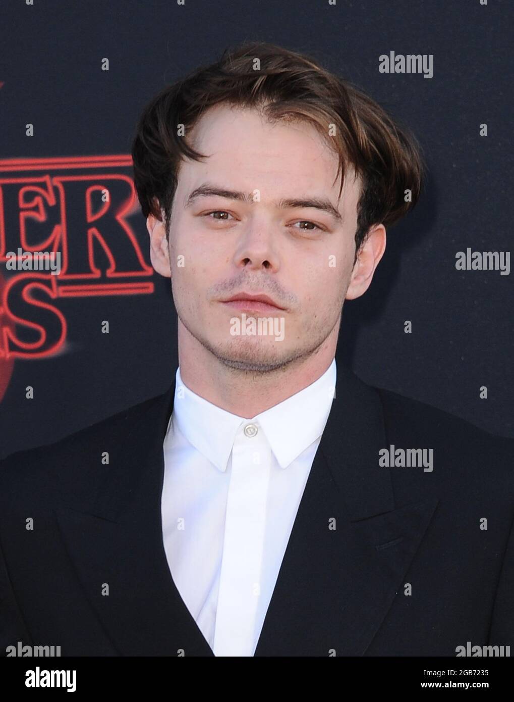 -Santa Moni - CA - CA - 06/28/2019 Stranger Things 3 Los Angeles Premiere -PICTURED: Charlie ...