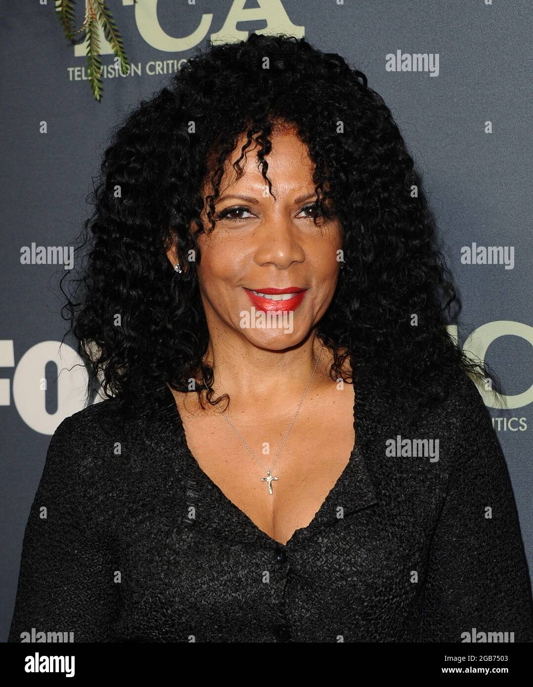 Los Angeles - CA -20190206 - FOX WINTER TCA 2019 ALL-STAR PARTY -PICTURED: Penny Johnson Jerald ...