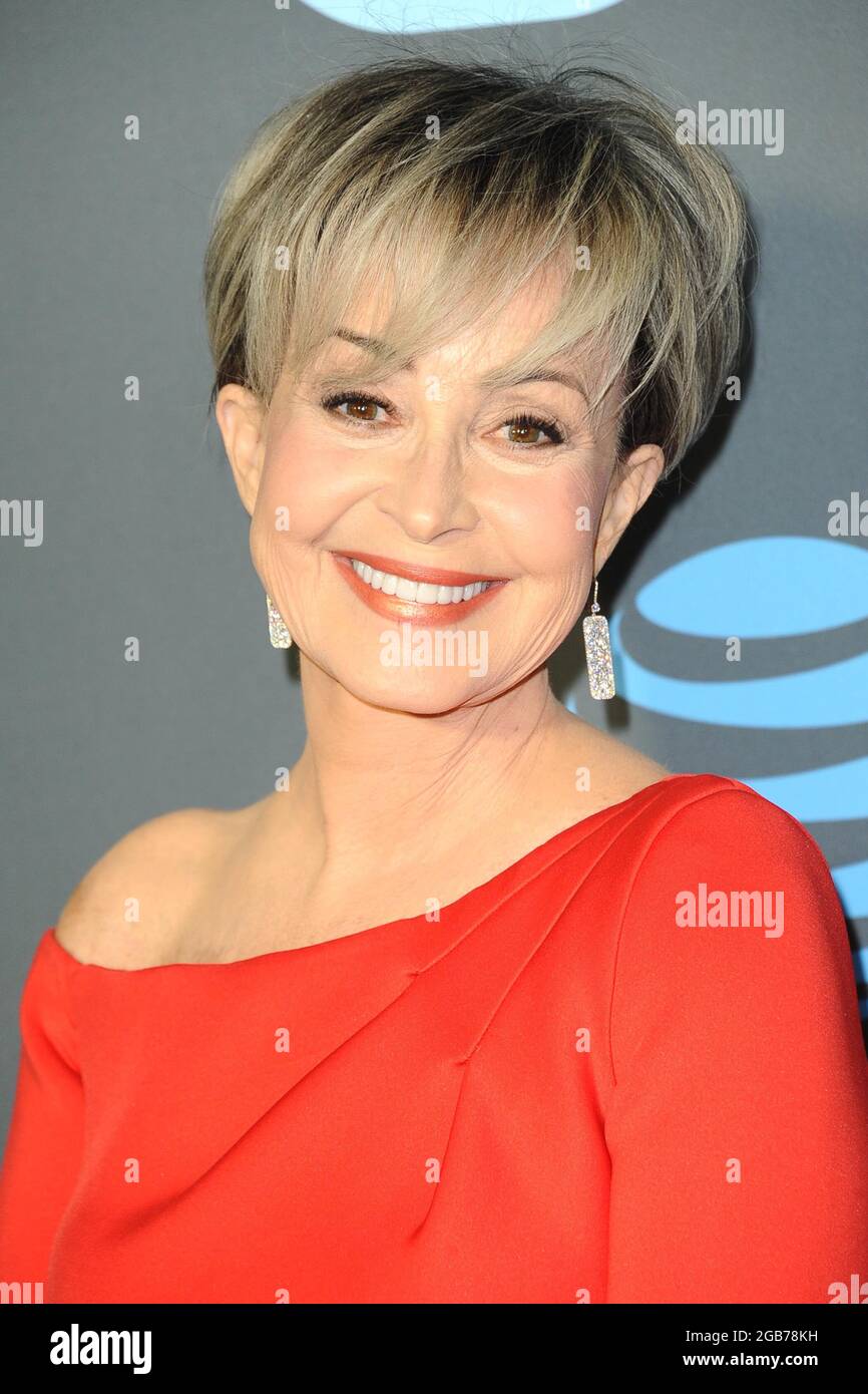 Santa Monica - CA -20190113 - The 24th Annual Critics' Choice Awardsat ...