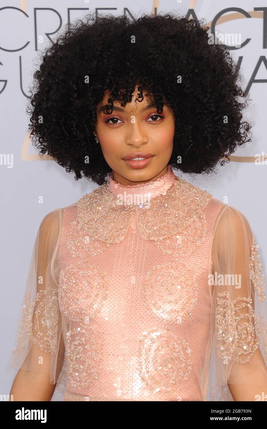 Los Angeles - CA -20190127 - 25th Screen Actors Guild Awards Arrivalsat ...