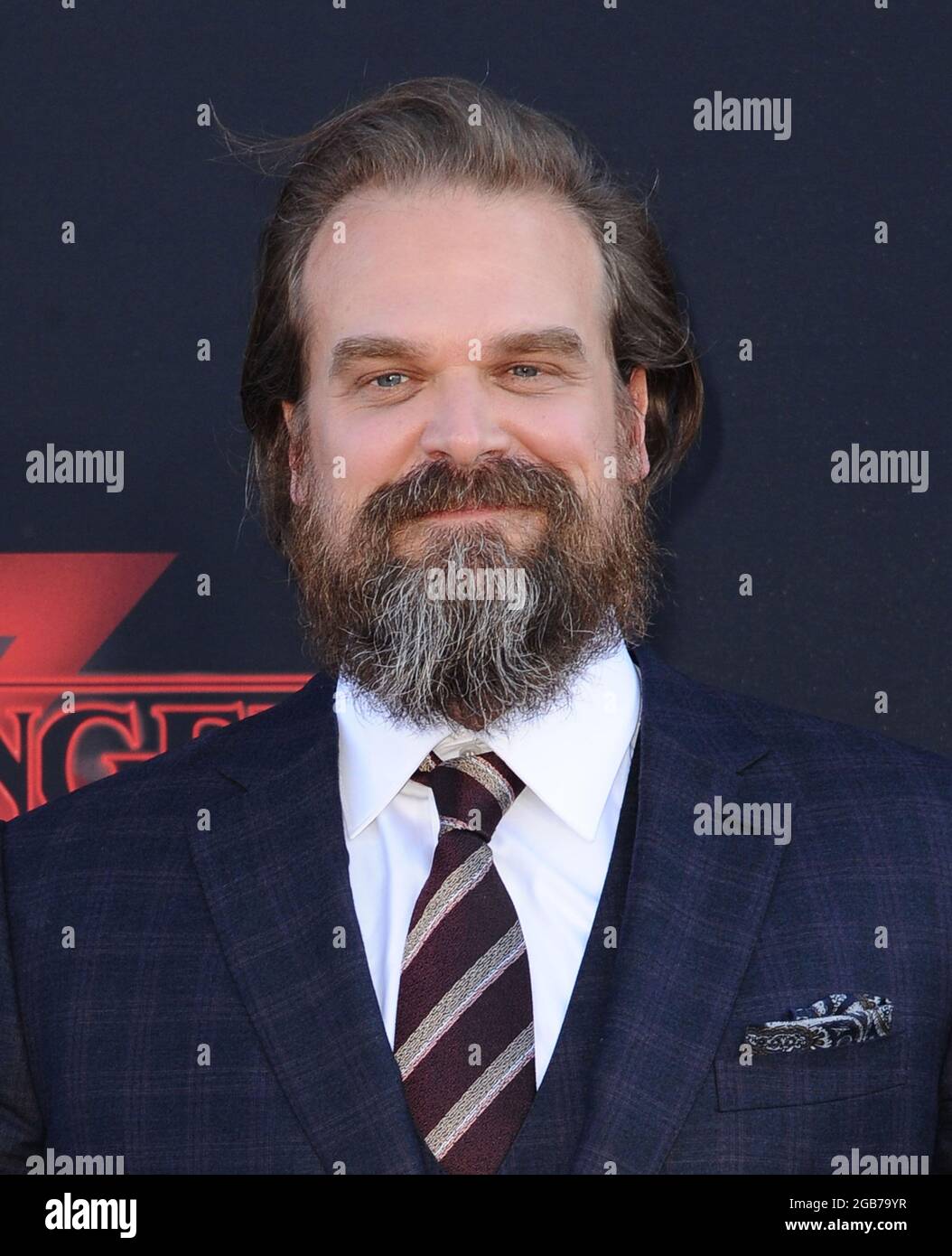 -Santa Moni - CA - CA - 06/28/2019 Stranger Things 3 Los Angeles Premiere -PICTURED: David ...