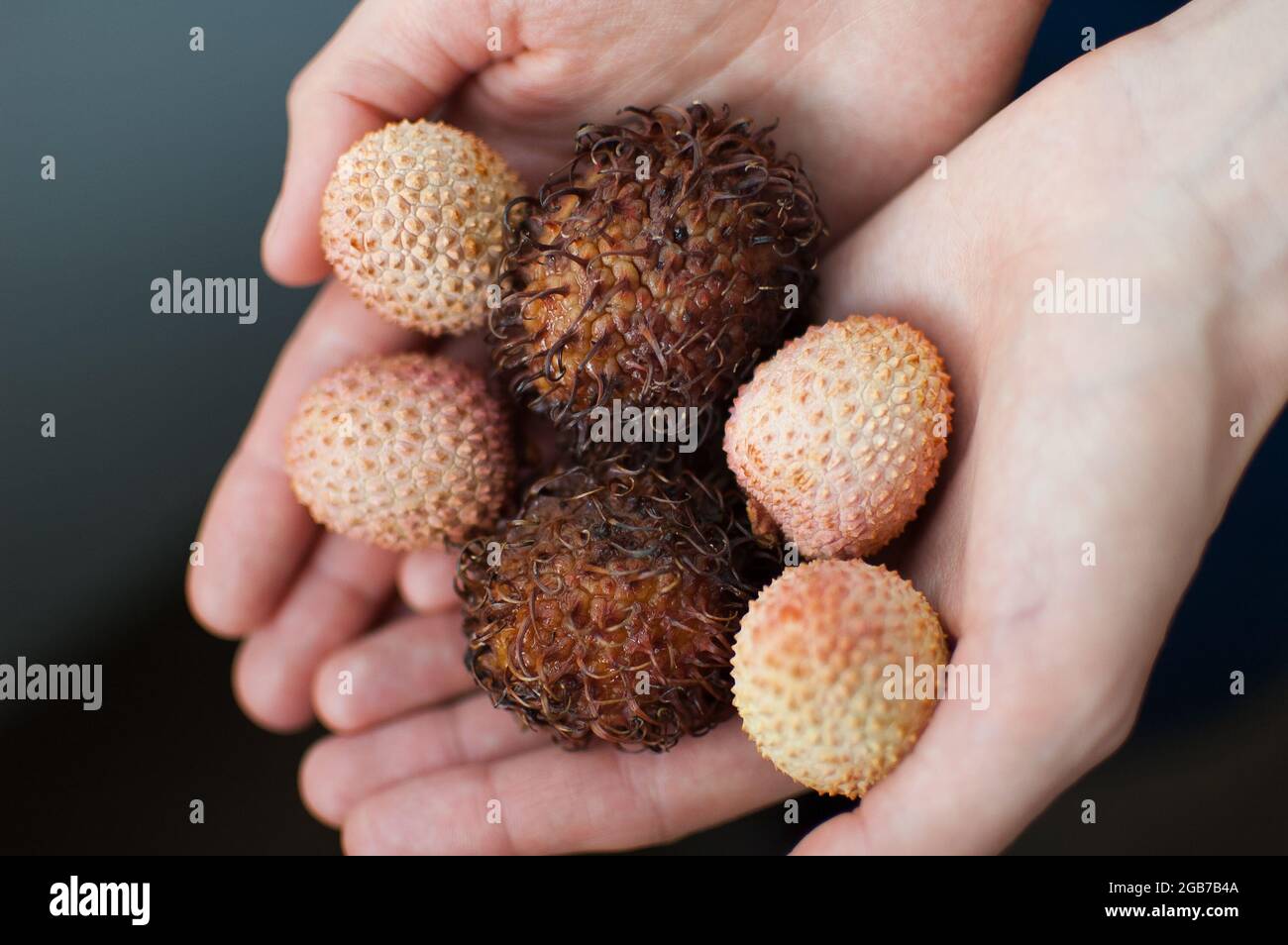 Rambutan Vs Lychee