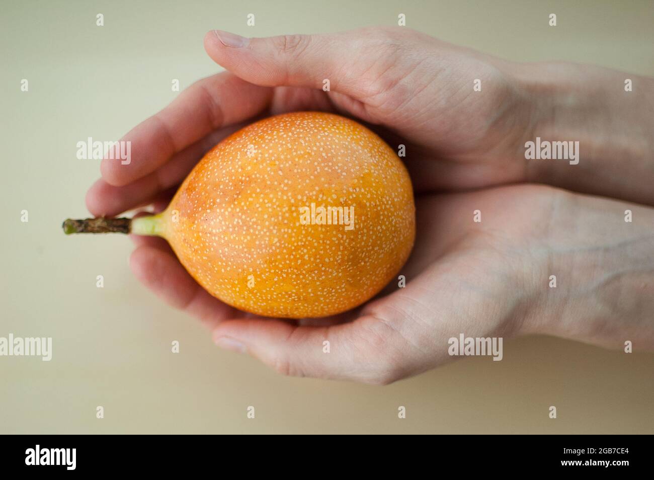Fresh organic ripe granadilla or yellow passion fruit in female hands ...