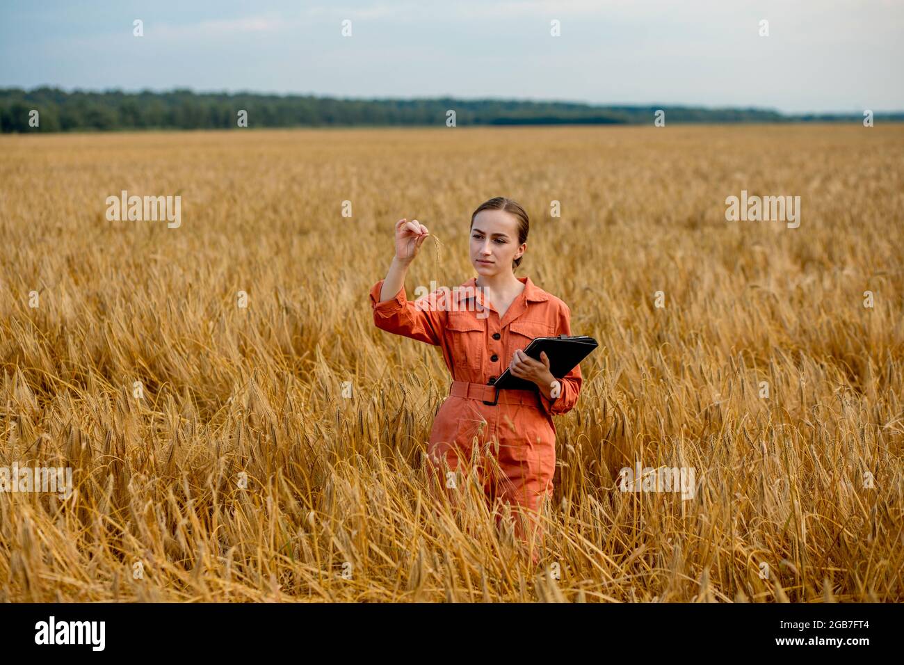 Agronomist holding test tube with barley grains in field, closeup ...