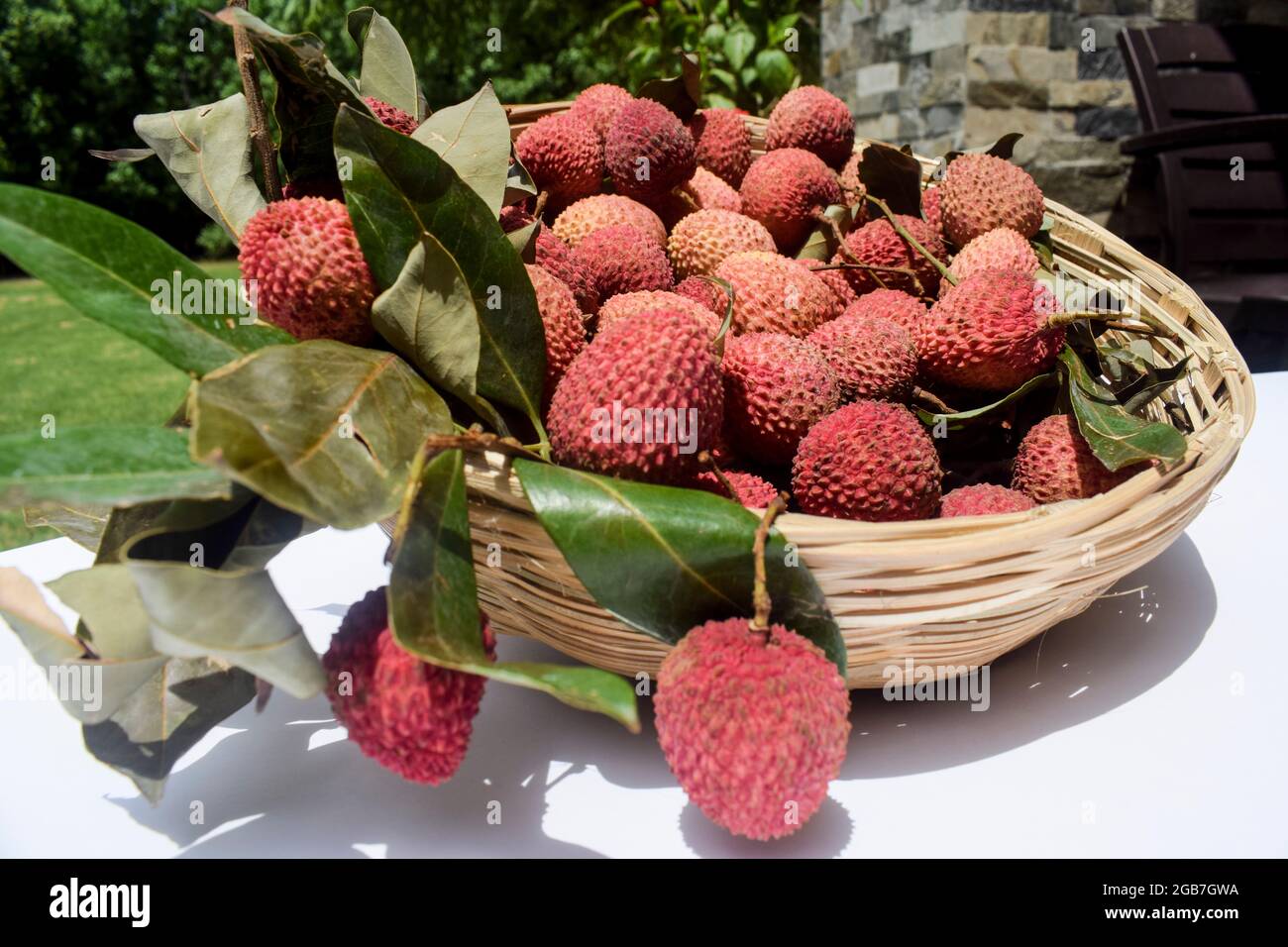 Side view of fresh plucked Lychees fruit in wicker bamboo basket ...