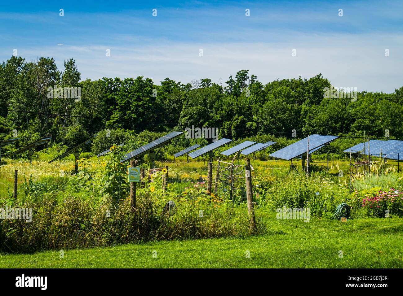 Solar panels and green grass hi-res stock photography and images - Alamy