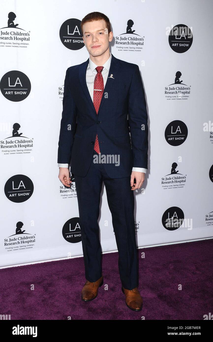 Los Angeles - CA -20190123 - 24th Annual LA ART SHOW Opening Night ...