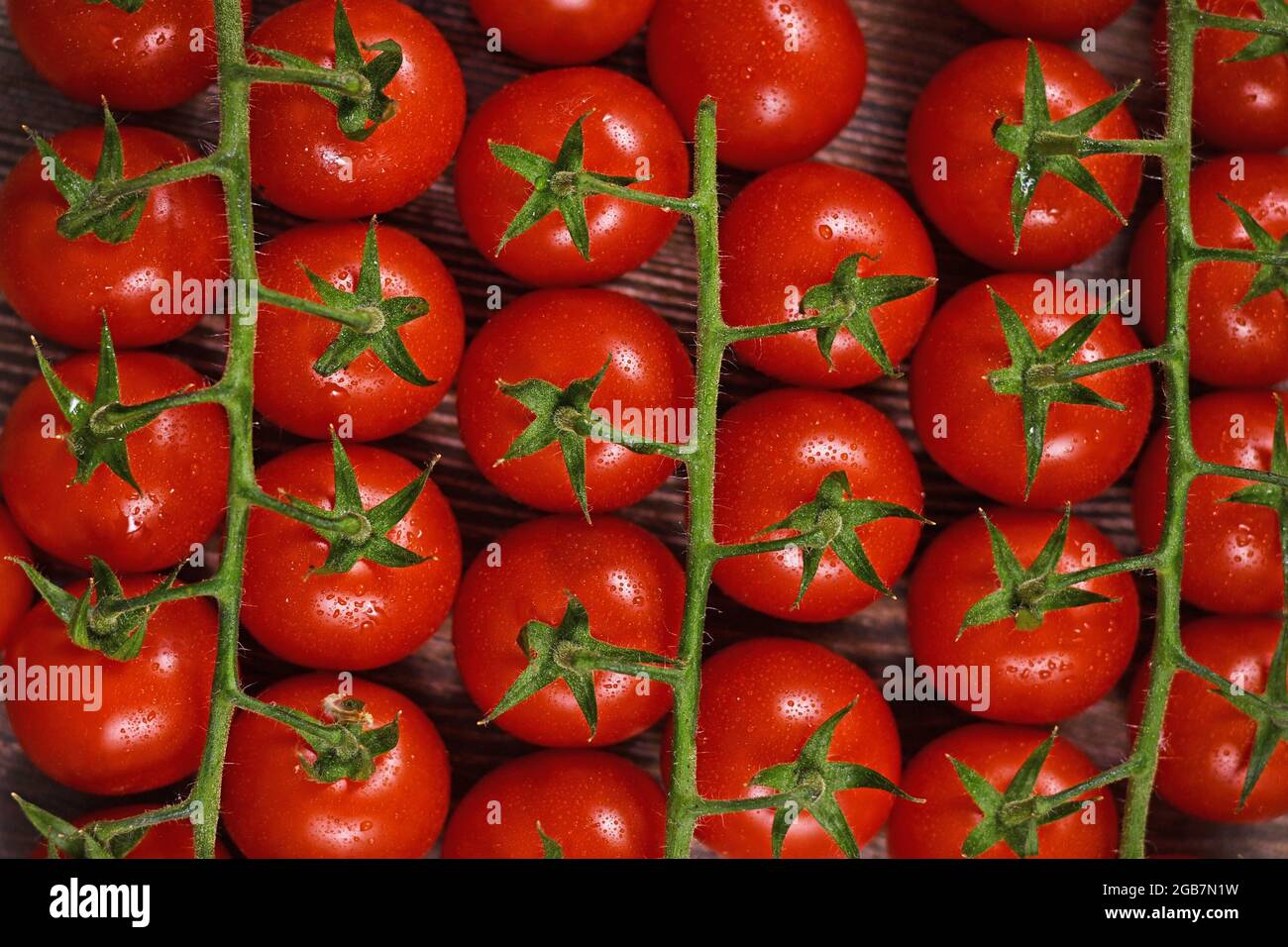 Tomato trusses hi-res stock photography and images - Alamy