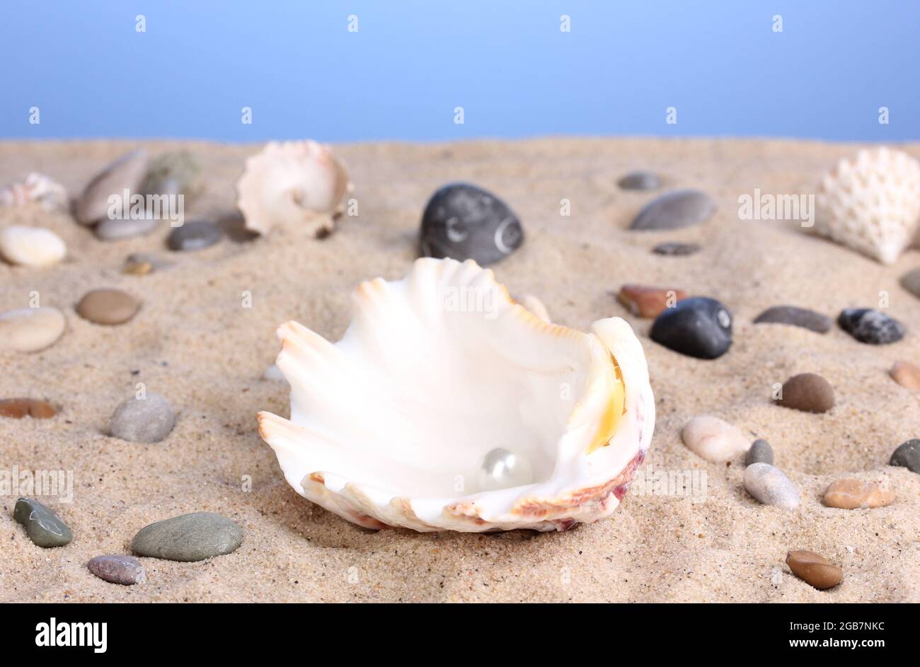Sea shell with pearl on sand Stock Photo - Alamy
