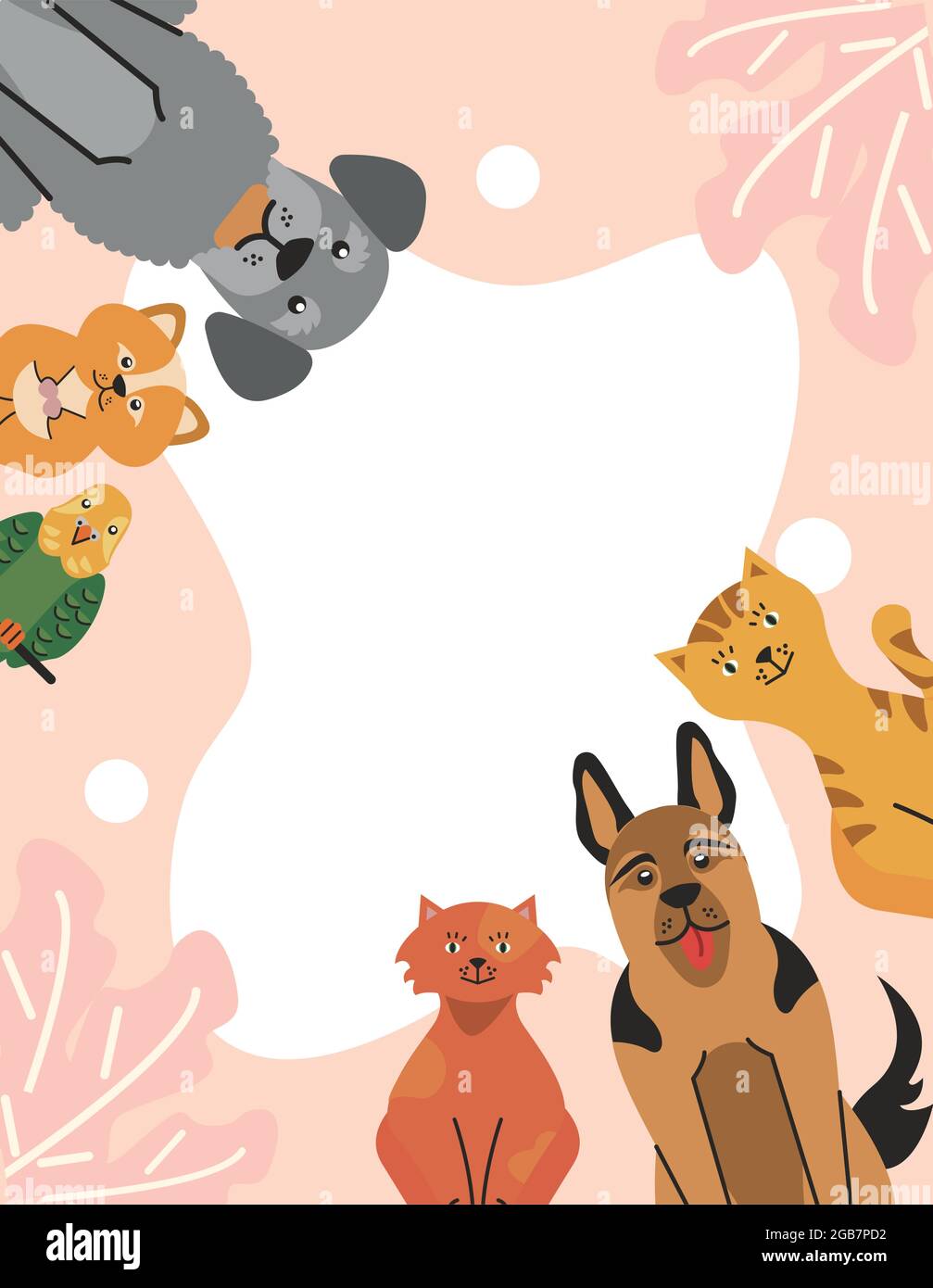 six differents pets Stock Vector Image & Art - Alamy
