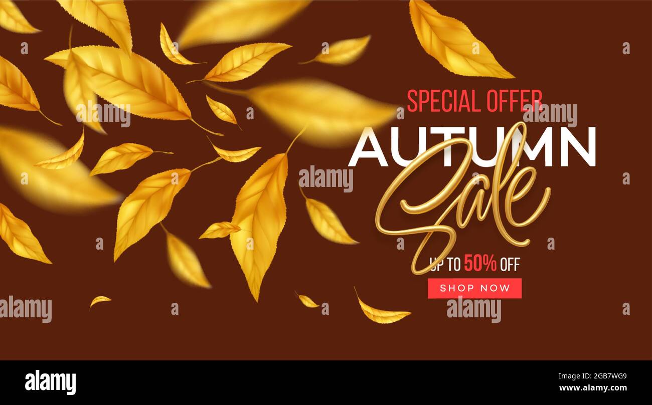 Background for the autumn season of discounts. Fall sale background ...