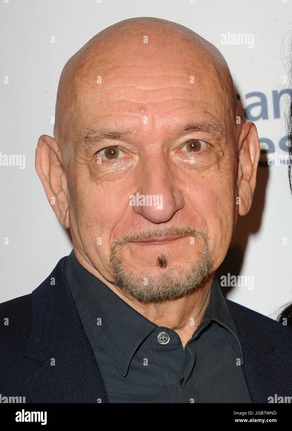 Los Angeles - CA - 01/05/2019 The BAFTA Los Angeles Tea Party -PICTURED ...