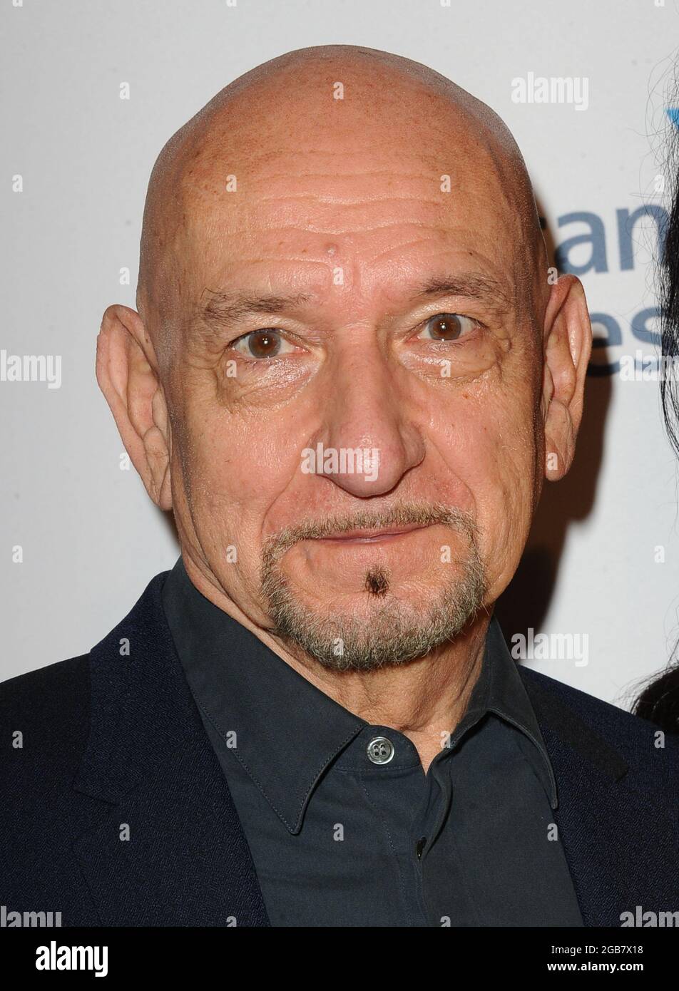 Los Angeles - CA - 01/05/2019 The BAFTA Los Angeles Tea Party -PICTURED ...