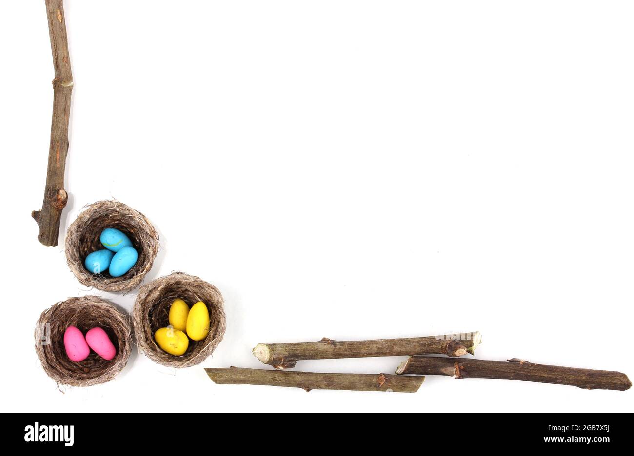 Different birds in tree nests hi-res stock photography and images - Alamy