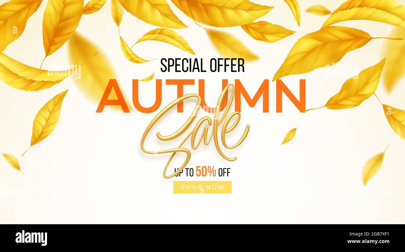 Background for the autumn season of discounts. Fall sale background ...
