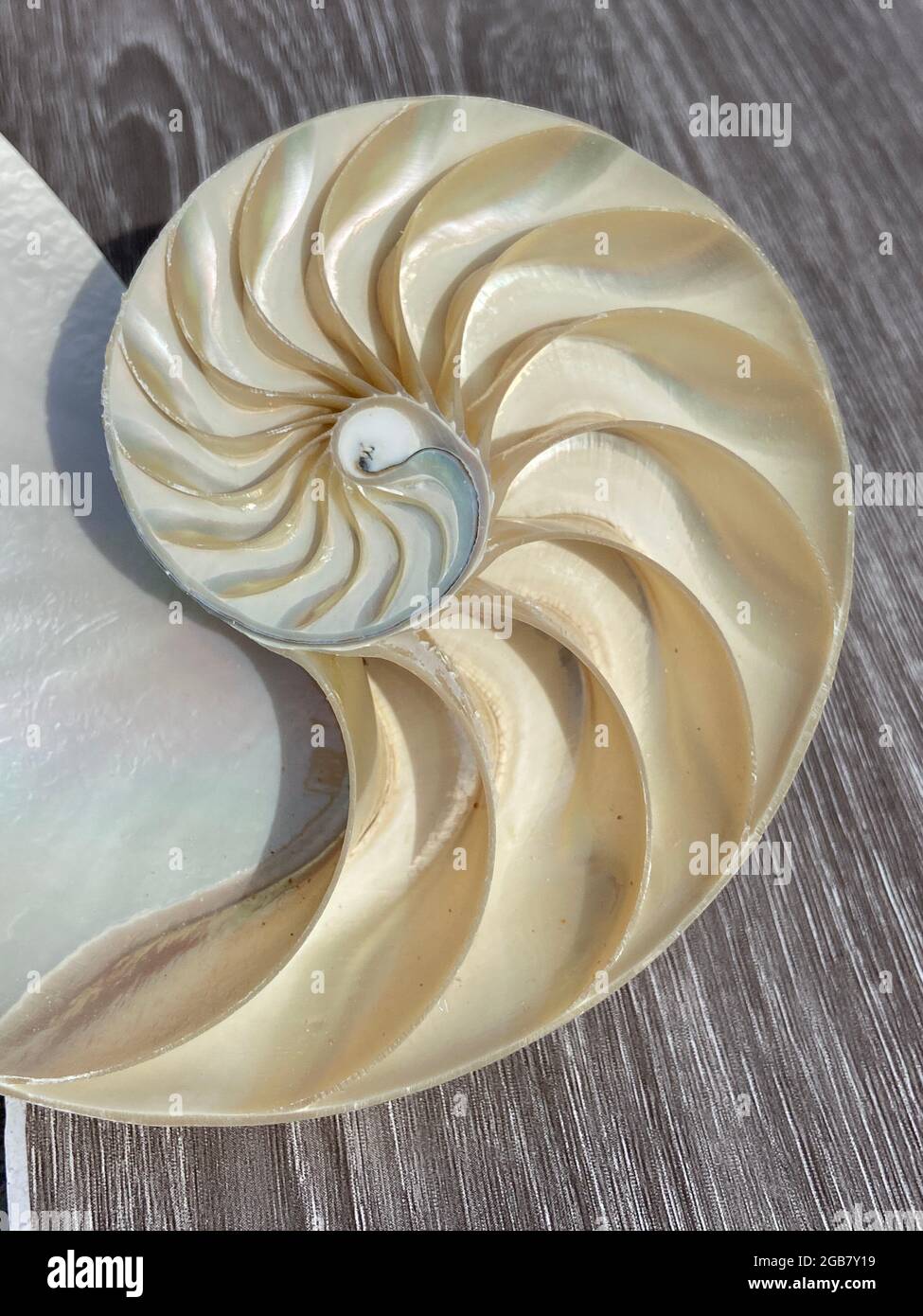 Fibonacci sequence image hi-res stock photography and images - Alamy