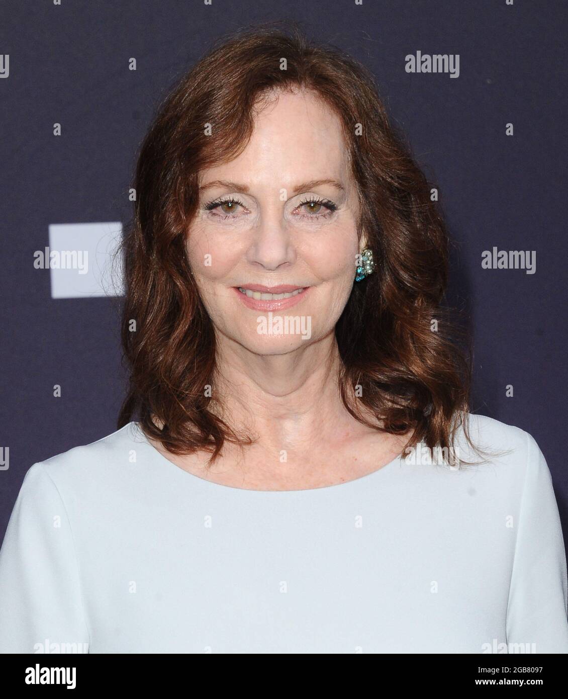 Los Angeles - CA - 05/18/2019 MOCA Benefit 2019 -PICTURED: Lesley Ann ...