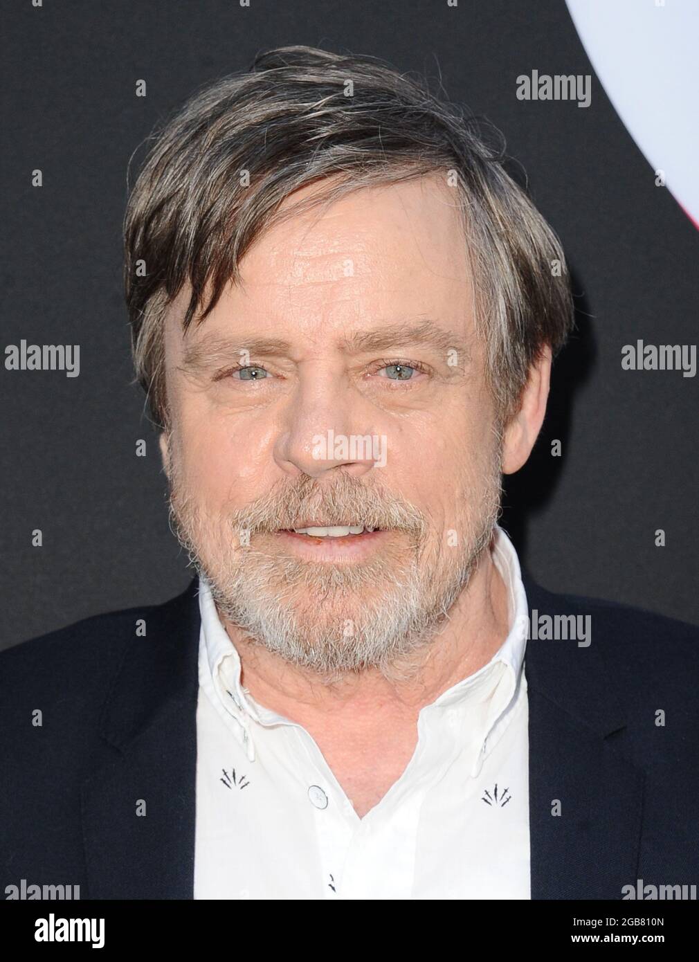 Los Angeles - CA - 06/19/2019 Child`s Play Los Angeles Premiere ...