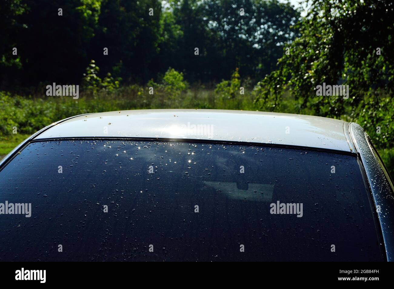 Blue fuzzy window hi-res stock photography and images - Alamy