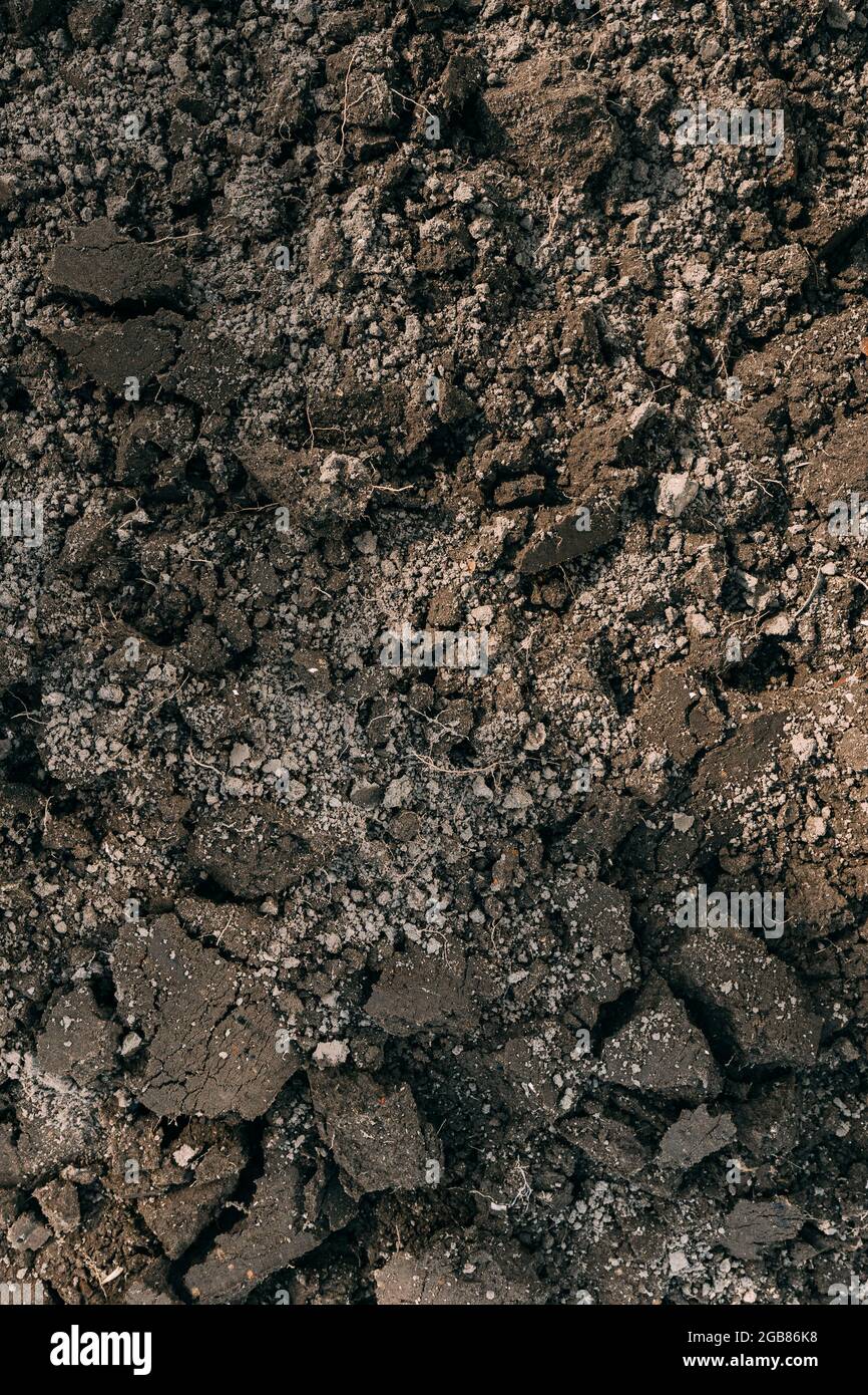 Dark Dirt Texture