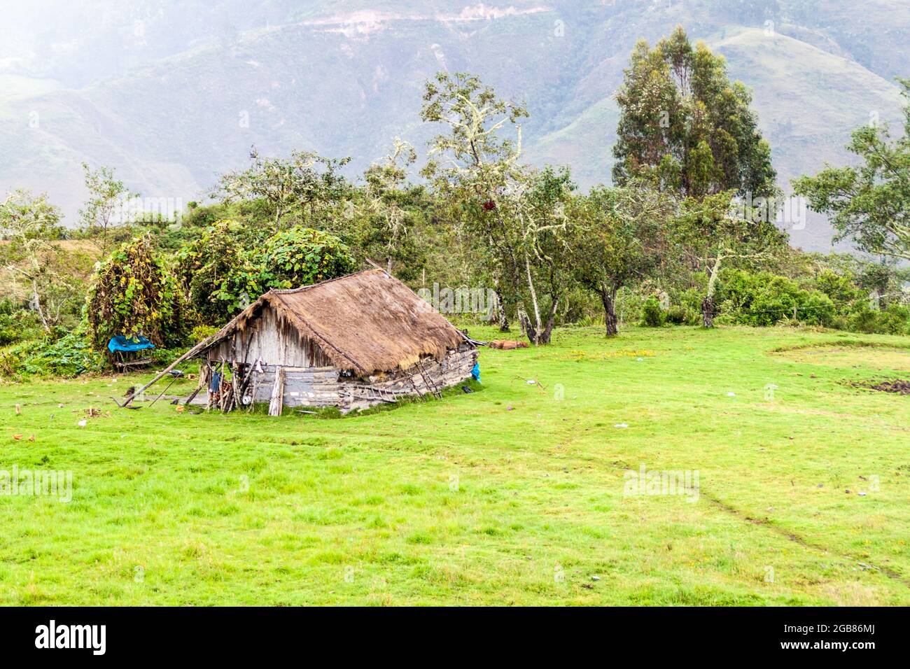 Northern peruvian farm hi-res stock photography and images - Alamy
