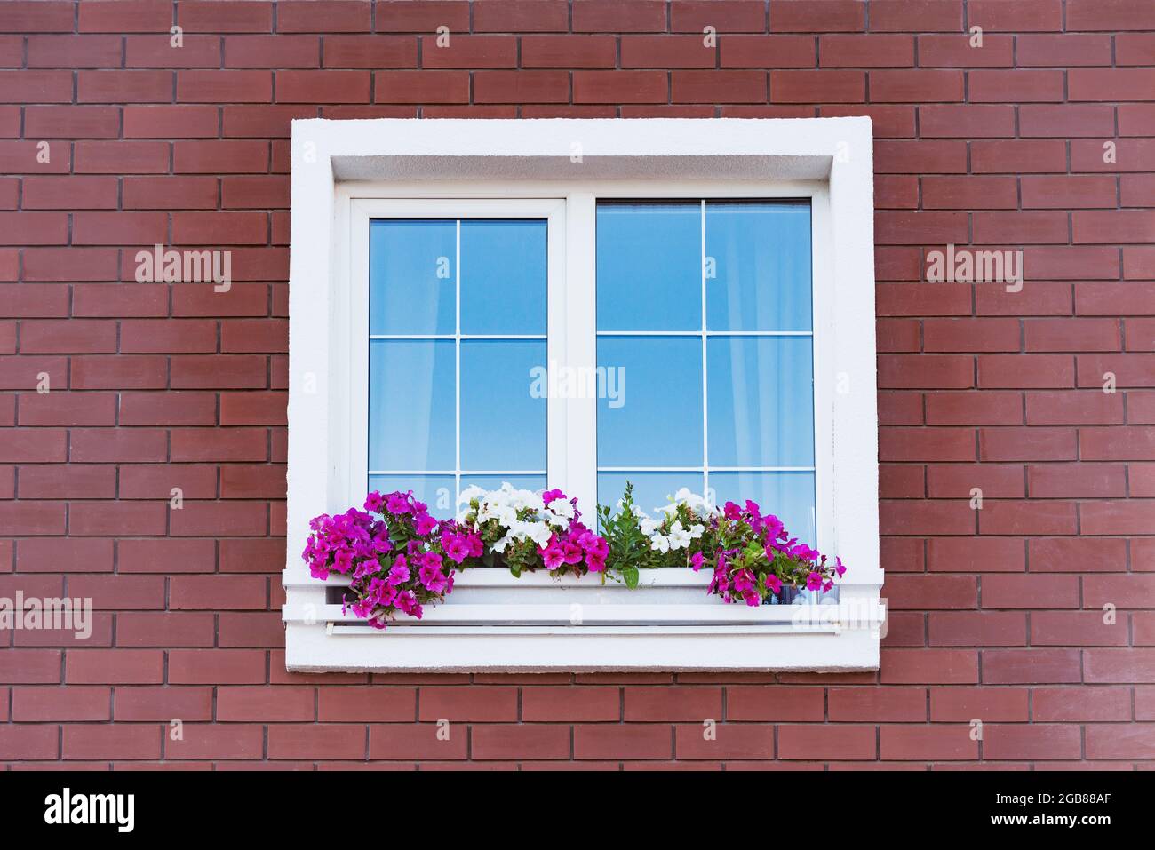 Flowers by the window and red brick wall Stock Photo - Alamy