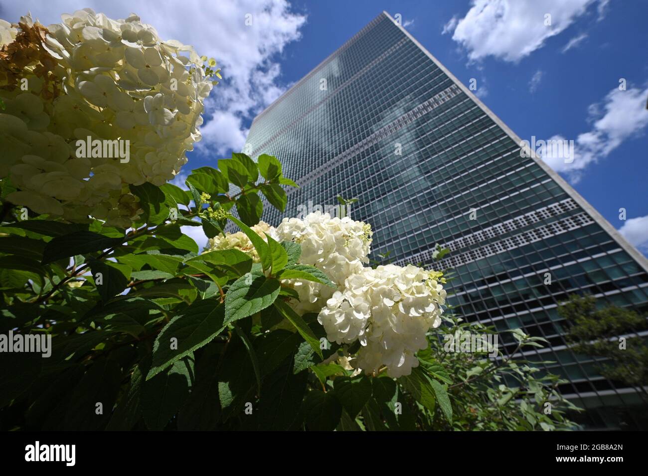 View of the Secretariat Building at the United Nations Headquarters as ...